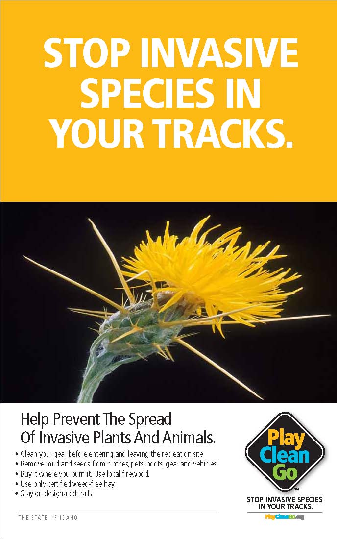 Illinois Invasive Species Awareness Month: The Hunt for Invasive ...